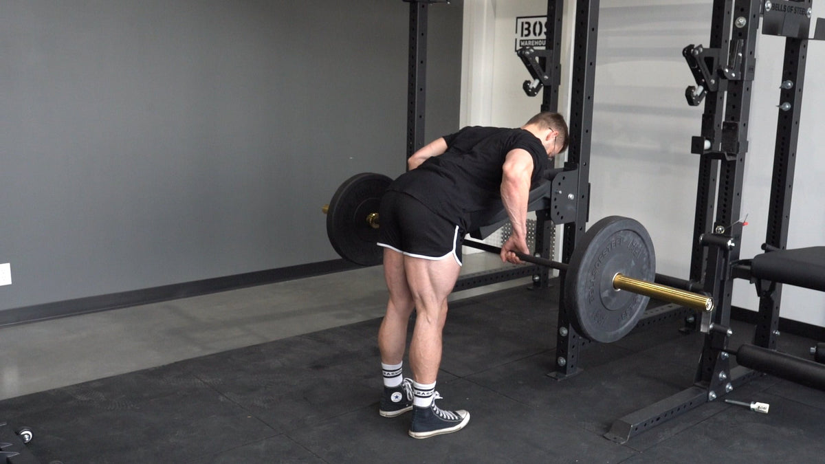 The Hydra Seal Row Pad: The Ultimate Strength Building Attachment ...